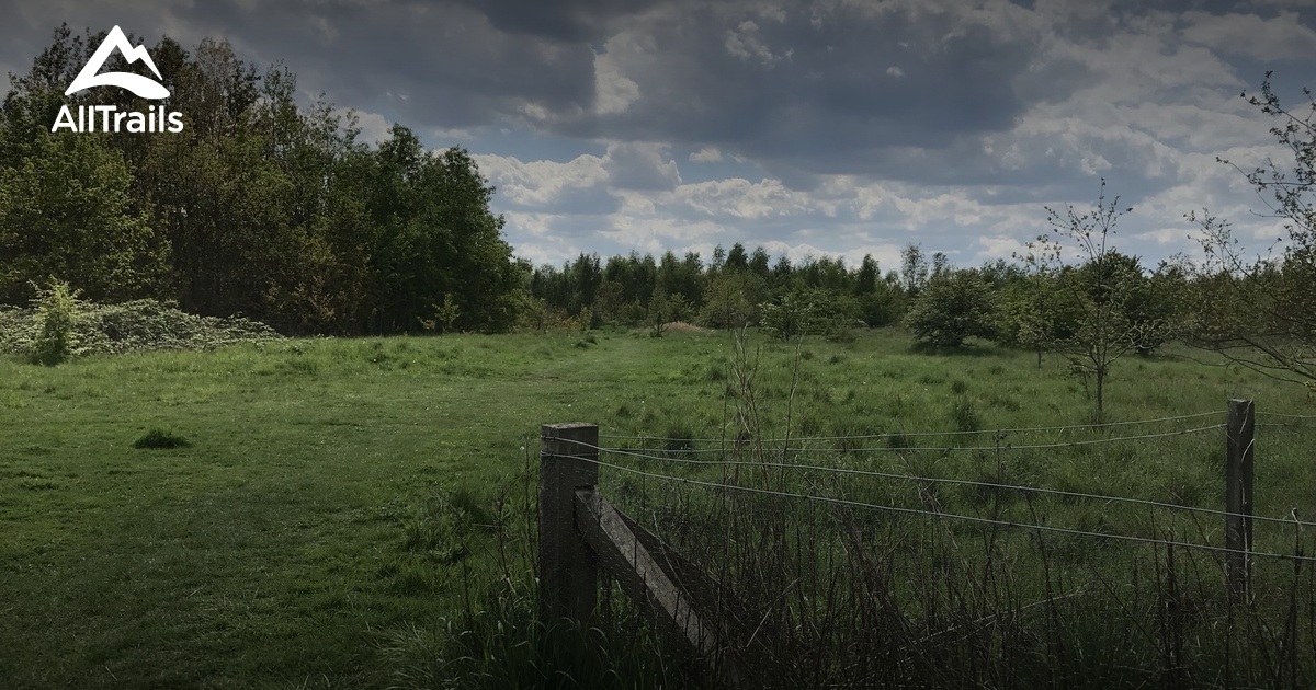 Best hikes and trails in Walton Colliery Nature Park | AllTrails