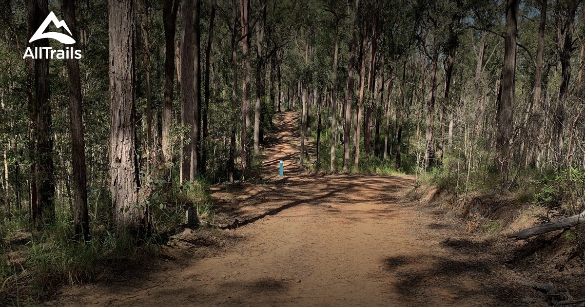 Best Trails in Moggill Conservation Park - Queensland, Australia ...