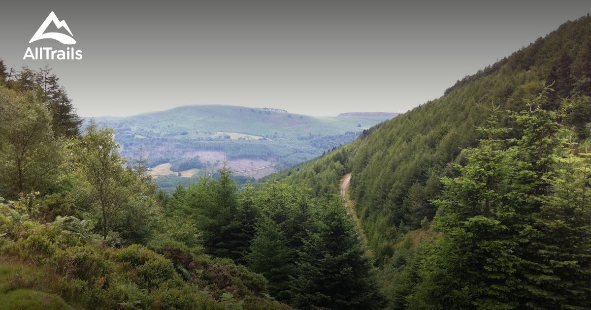 10 Best hikes and trails in Cwmcarn Forest | AllTrails