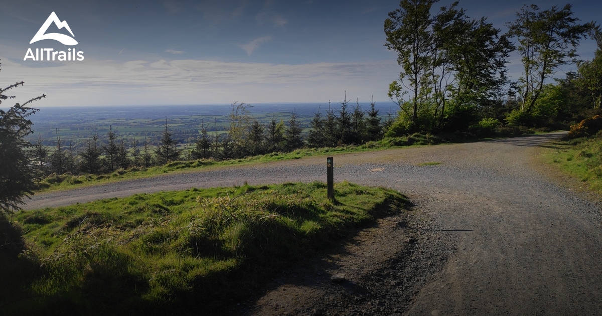 Best hikes and trails in Saggart Woods | AllTrails