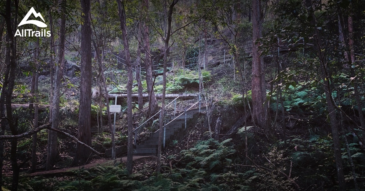 Best trails in Springwood Conservation Park , Queensland, Australia ...
