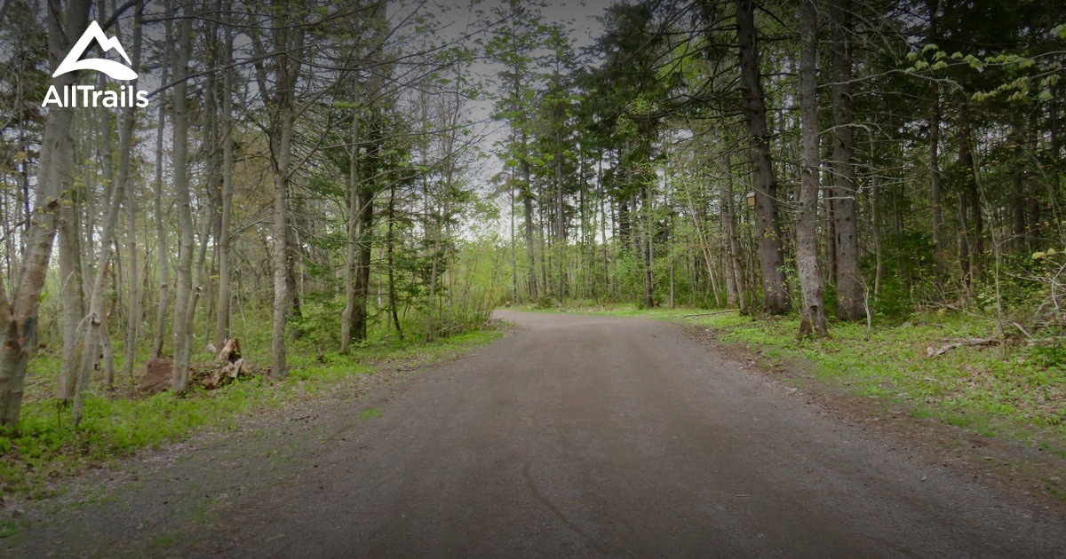 Best hikes and trails in Rotary St- Anselme Park | AllTrails