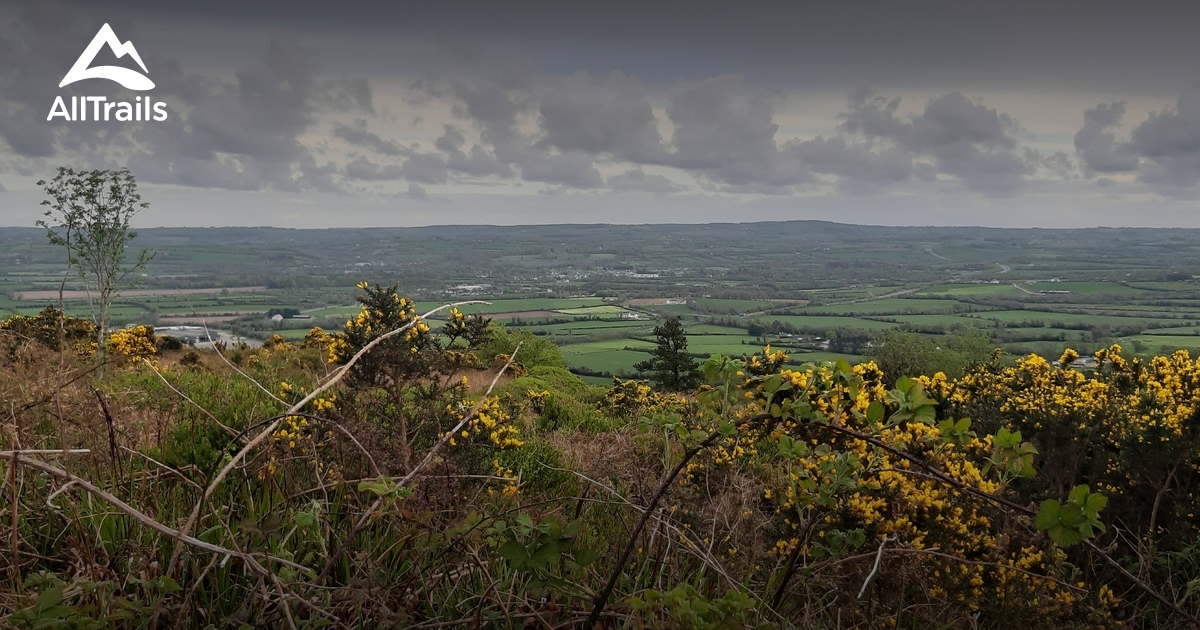 Best hikes and trails in Corrin Woods | AllTrails