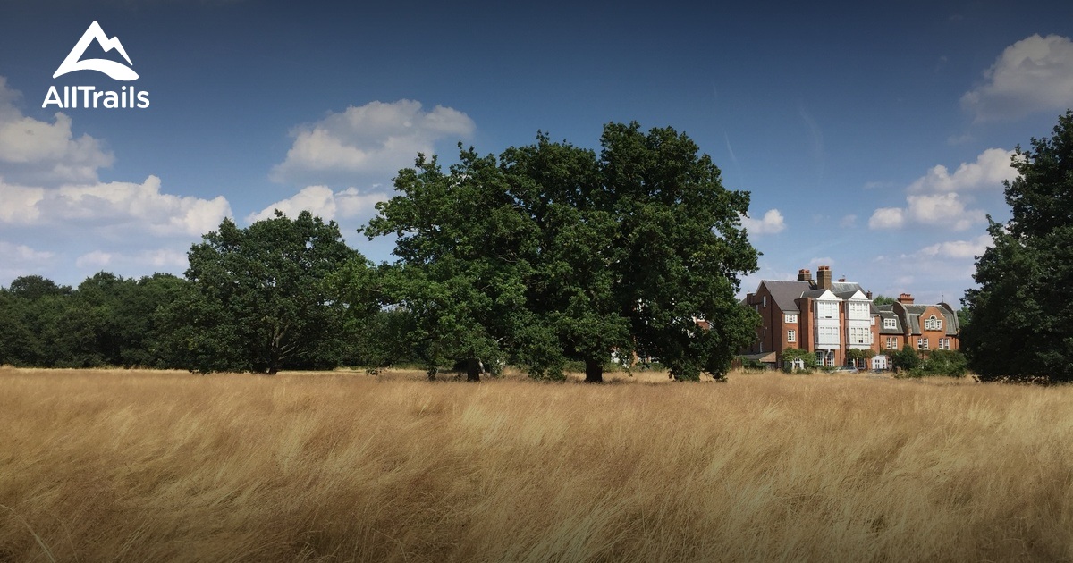 10 Best hikes and trails in Wimbledon Common | AllTrails