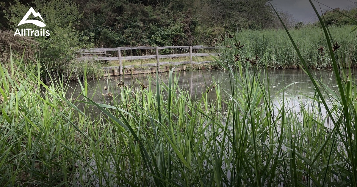 Best hikes and trails in Fingringhoe Wick Wildlife Reserve | AllTrails