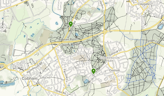 Best Trails in Esher Common - Surrey, England | AllTrails