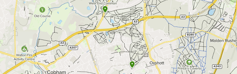 Best Trails in Esher Common - Surrey, England | AllTrails