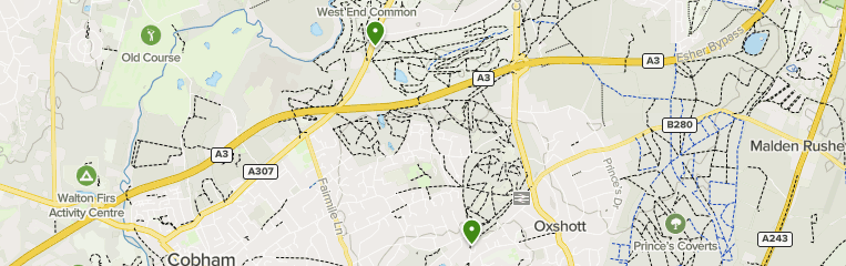 Best Trails in Esher Common - Surrey, England | AllTrails