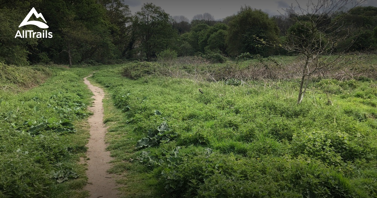 Best walking trails in Esher Common | AllTrails