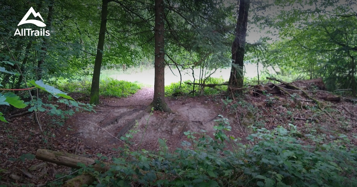 Best hikes and trails in Spearywell Wood | AllTrails