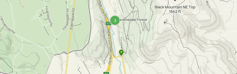 Best Hikes and Trails in Ravensdale Forest | AllTrails