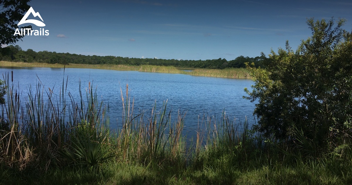 Die Besten Langen Routen in Seminole Ranch Conservation Area | AllTrails