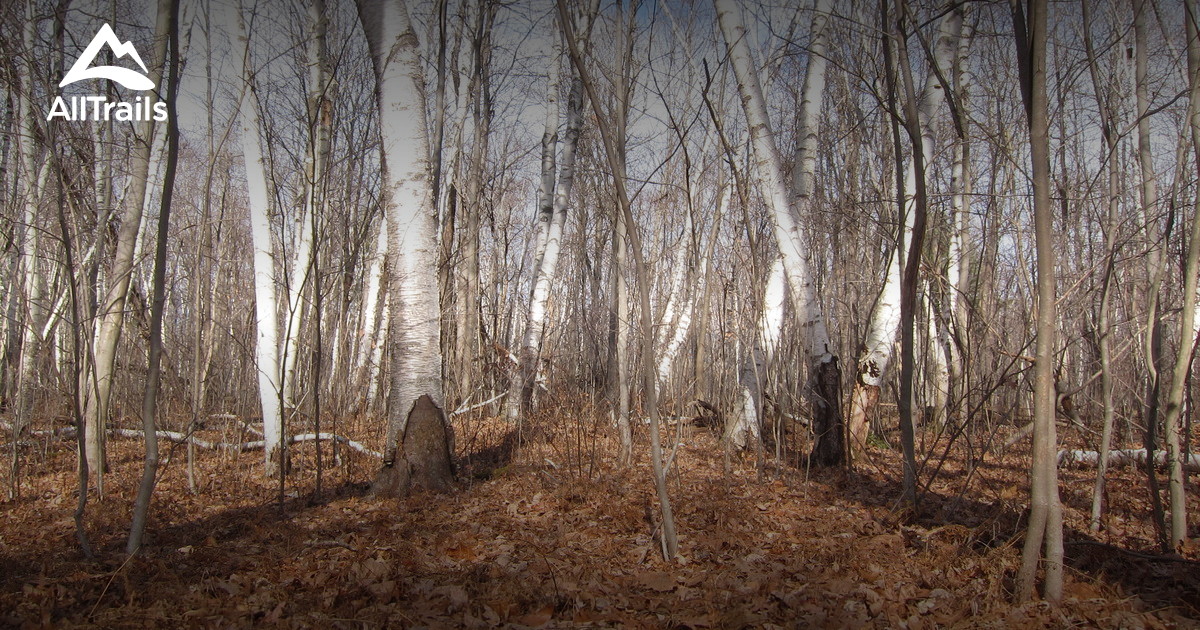 Best Trails in Tekoa Mountain Wildlife Management Area - Massachusetts ...