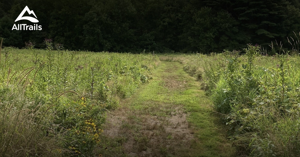 Best hikes and trails in Braemore Preserve | AllTrails