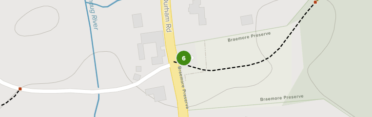 Best Hikes and Trails in Braemore Preserve | AllTrails