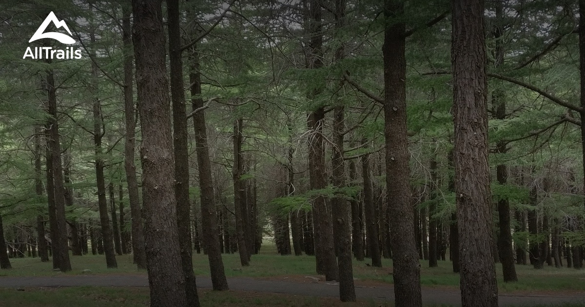 Best hikes and trails in Molonglo Valley Nature Reserve | AllTrails