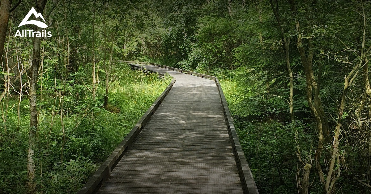 Best hikes and trails in Bolam Lake Country Park | AllTrails