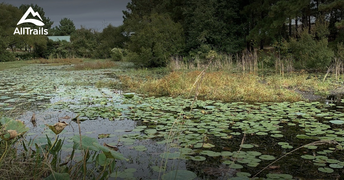 Best hikes and trails in Texas Freshwater Fisheries Center | AllTrails
