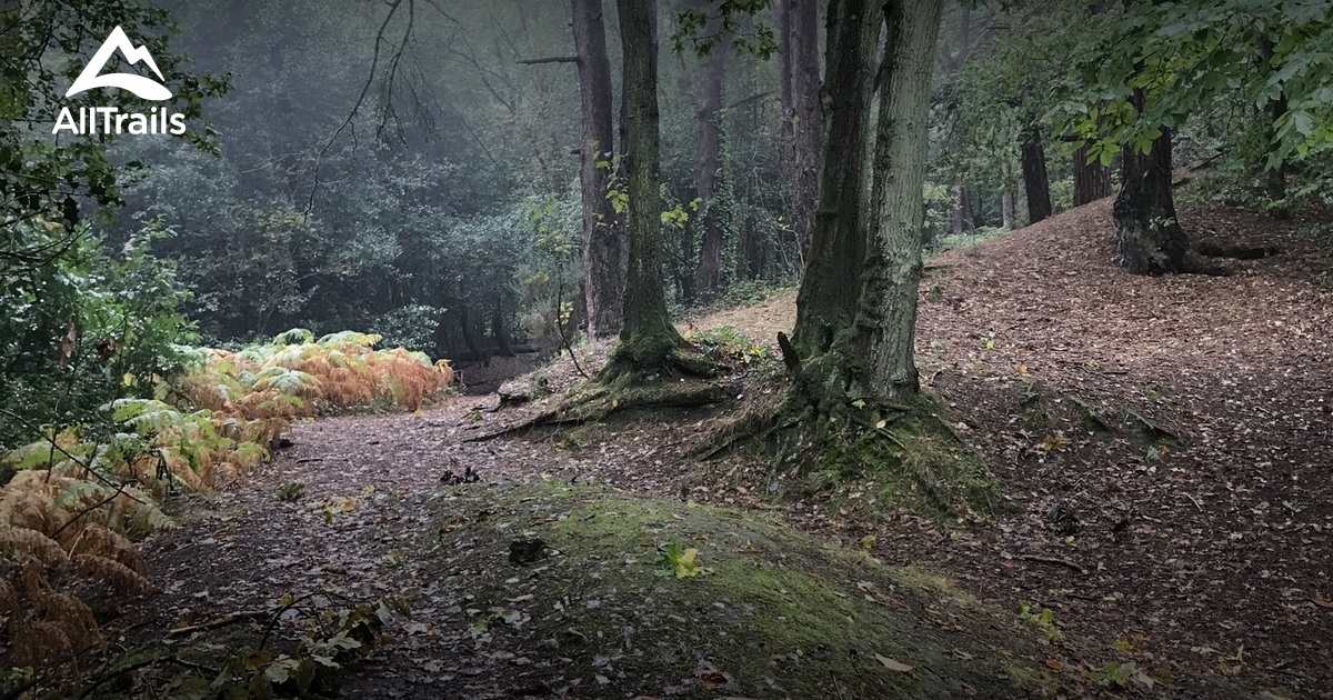 Best hikes and trails in Rowhills Copse Nature Reserve | AllTrails