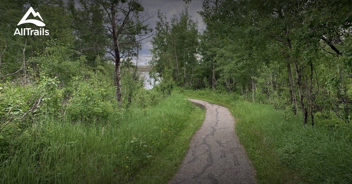 Best hikes and trails in Saskatoon Island Provincial Park | AllTrails