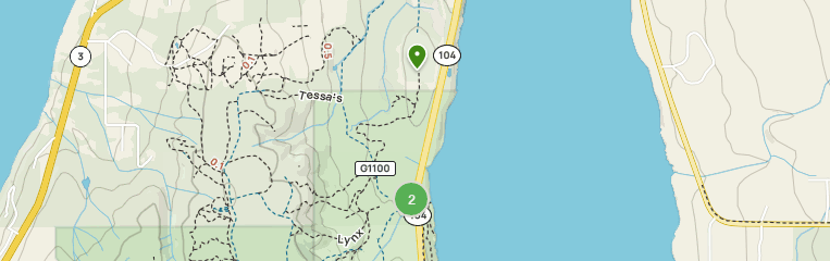 Best Hikes and Trails in Port Gamble Forest Heritage Park | AllTrails