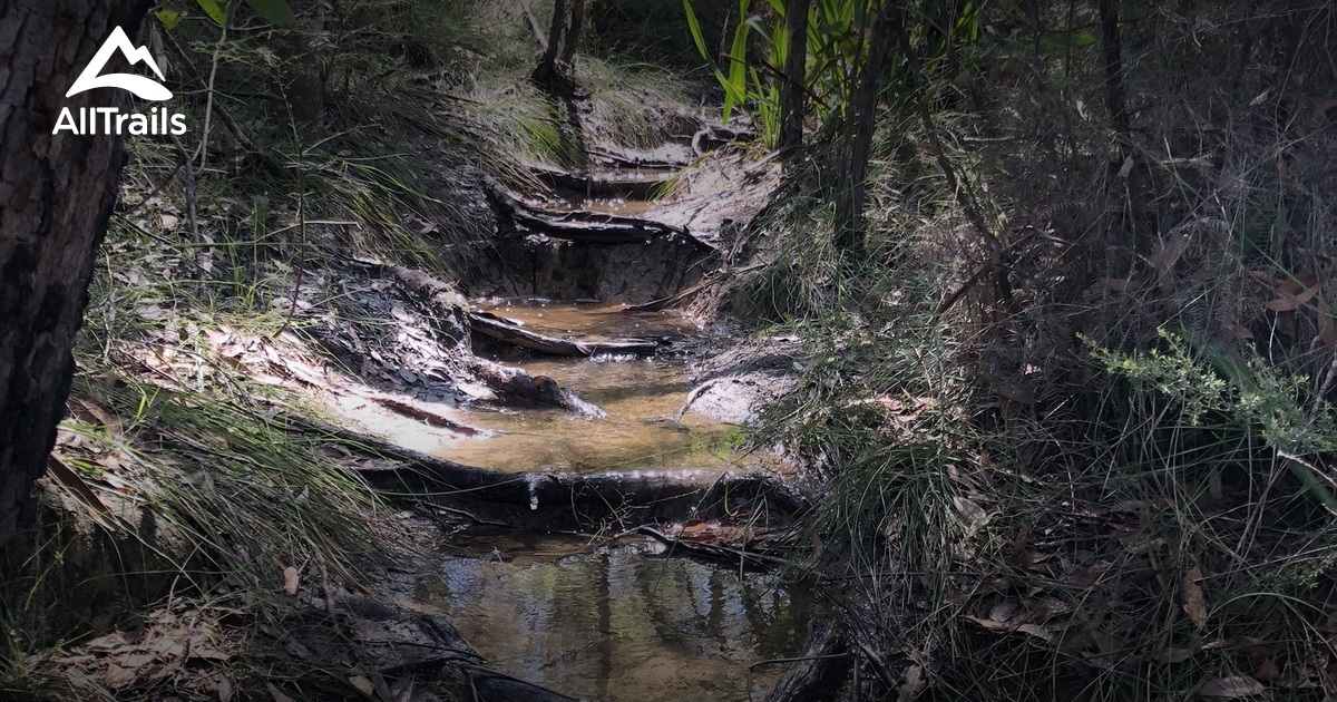Best Trails in Strickland State Forest - New South Wales, Australia ...