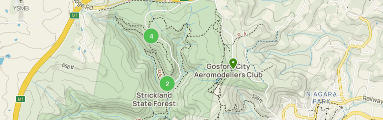 Best Hikes and Trails in Strickland State Forest | AllTrails