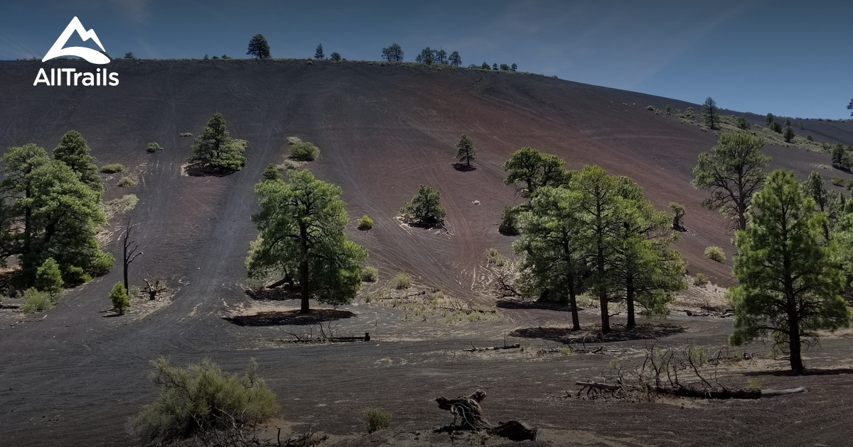 Best Trails in Cinder Hills OHV Area - Arizona | AllTrails