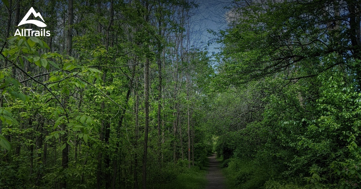 Best hikes and trails in Marshlands Conservation Area | AllTrails