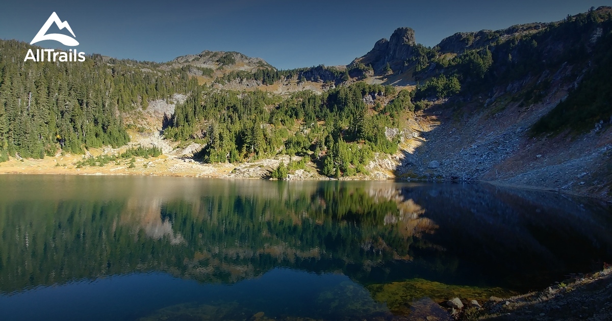 Best hikes and trails in Kennedy River Woodlands | AllTrails