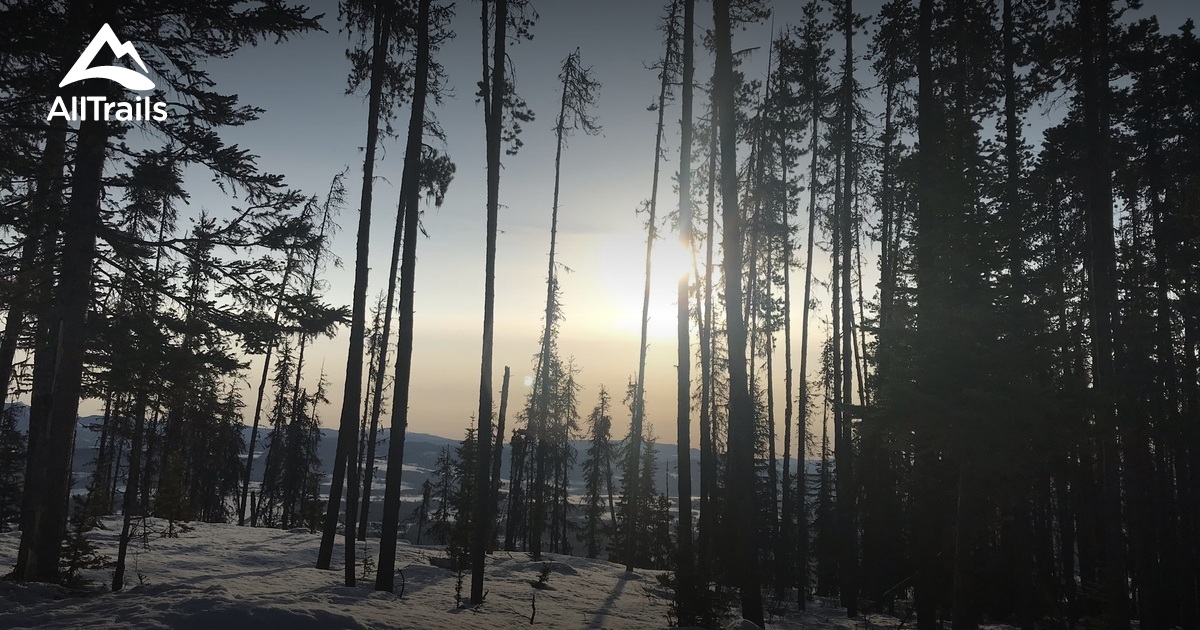 10 Best hikes and trails in Smithers Community Forest Trails Recreation ...