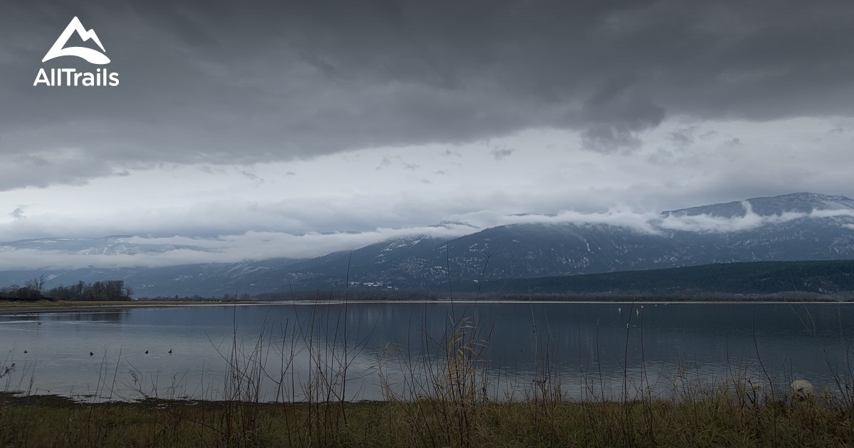Best hikes and trails in Salmon Arm Naturalist Park | AllTrails