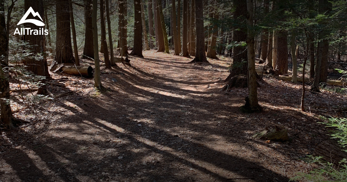 Best hikes and trails in Phillips Exeter Academy Woods Trail Network ...