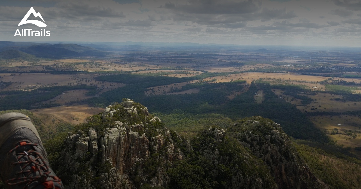 Best hikes and trails in Mount Walsh National Park | AllTrails