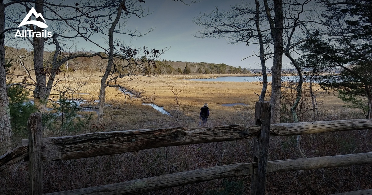 Great Neck Wildlife Sanctuary : les meilleures randonnées faciles ...