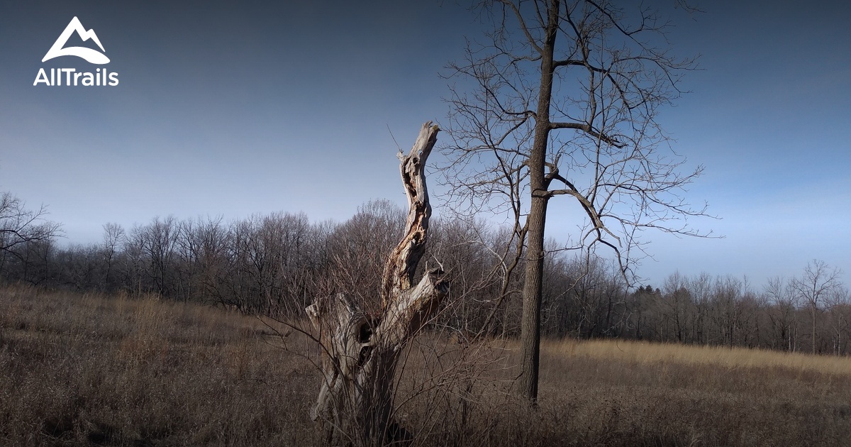 De beste langlaufloipes in Dixie Briggs Forest Preserve | AllTrails