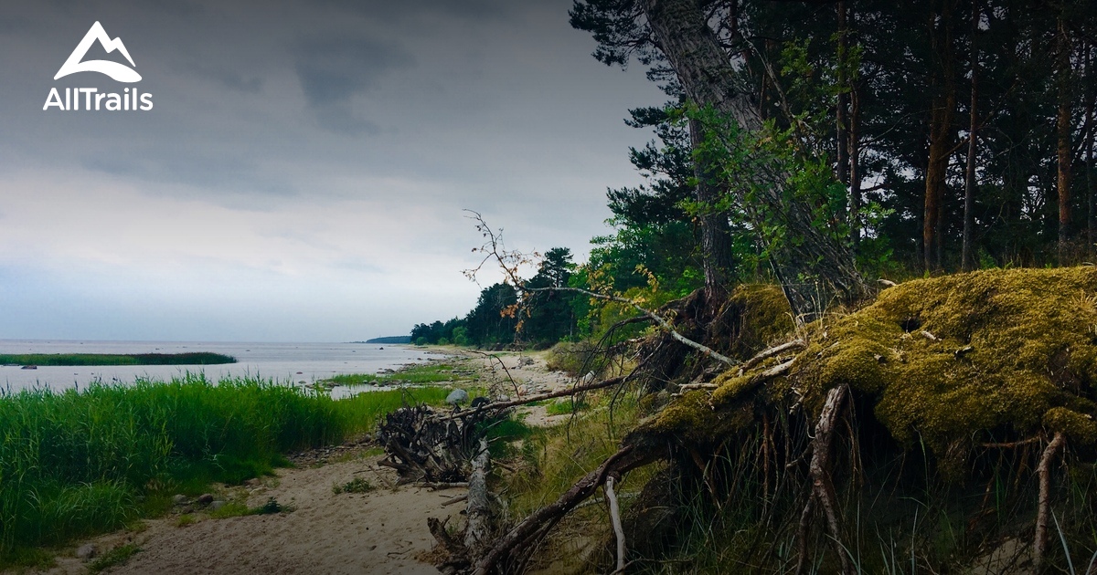 Best hikes and trails in Engures ezers | AllTrails