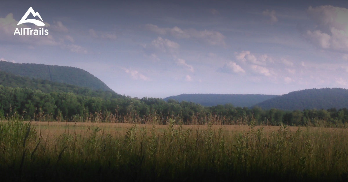 Best hikes and trails in Detweiler Park | AllTrails