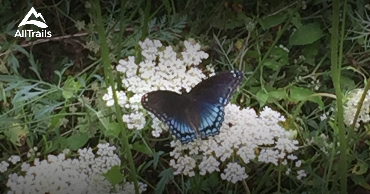 Best hikes and trails in LaFortune Park | AllTrails