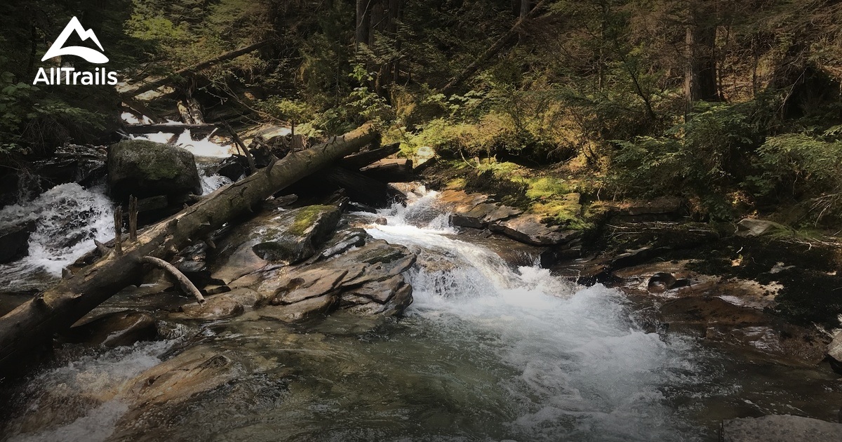 Best forest trails in Begbie Falls Recreation Site | AllTrails