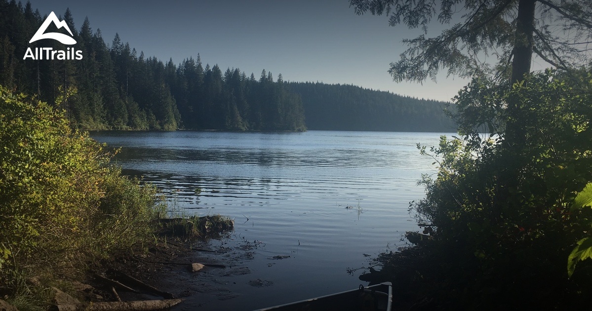 Best hikes and trails in Seyward Provincial Forest | AllTrails