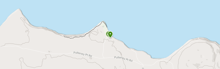 Best Hikes and Trails in Bere Point Regional Park | AllTrails