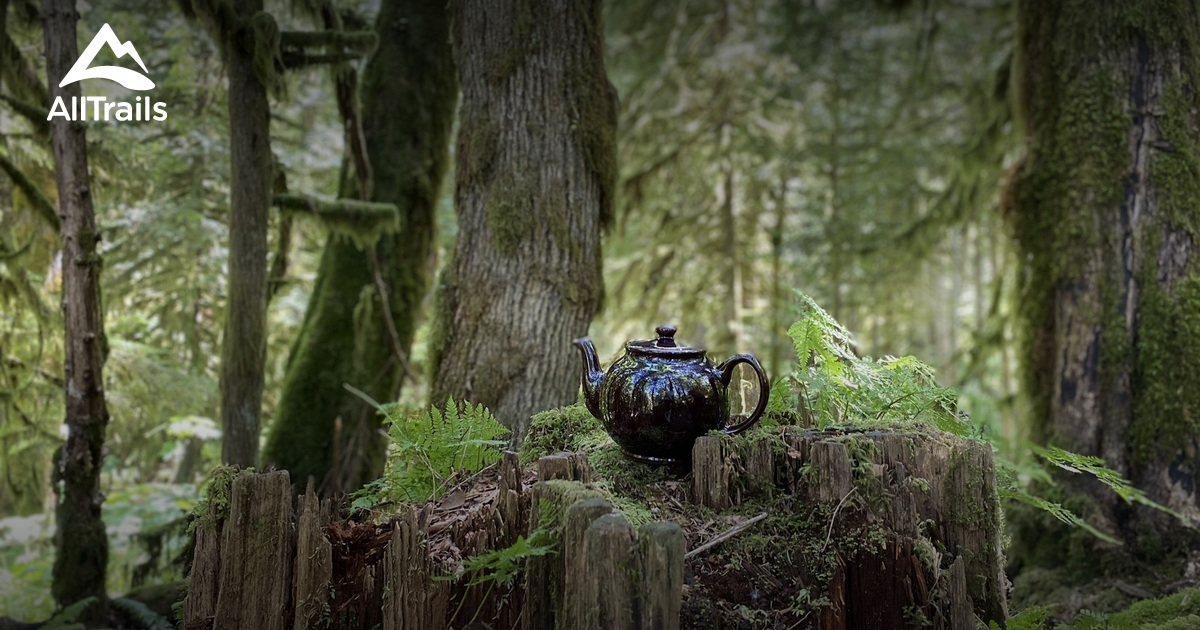 10 Best hikes and trails in Cultus Lake Provincial Park | AllTrails