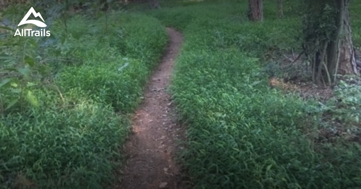 Best Trails in Purser-Hulsey Park - North Carolina | AllTrails
