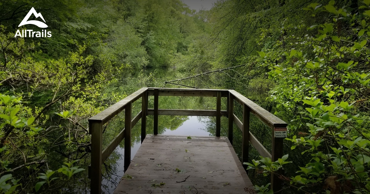 Best Trails in Webb Mountain Discovery Zone - Connecticut | AllTrails