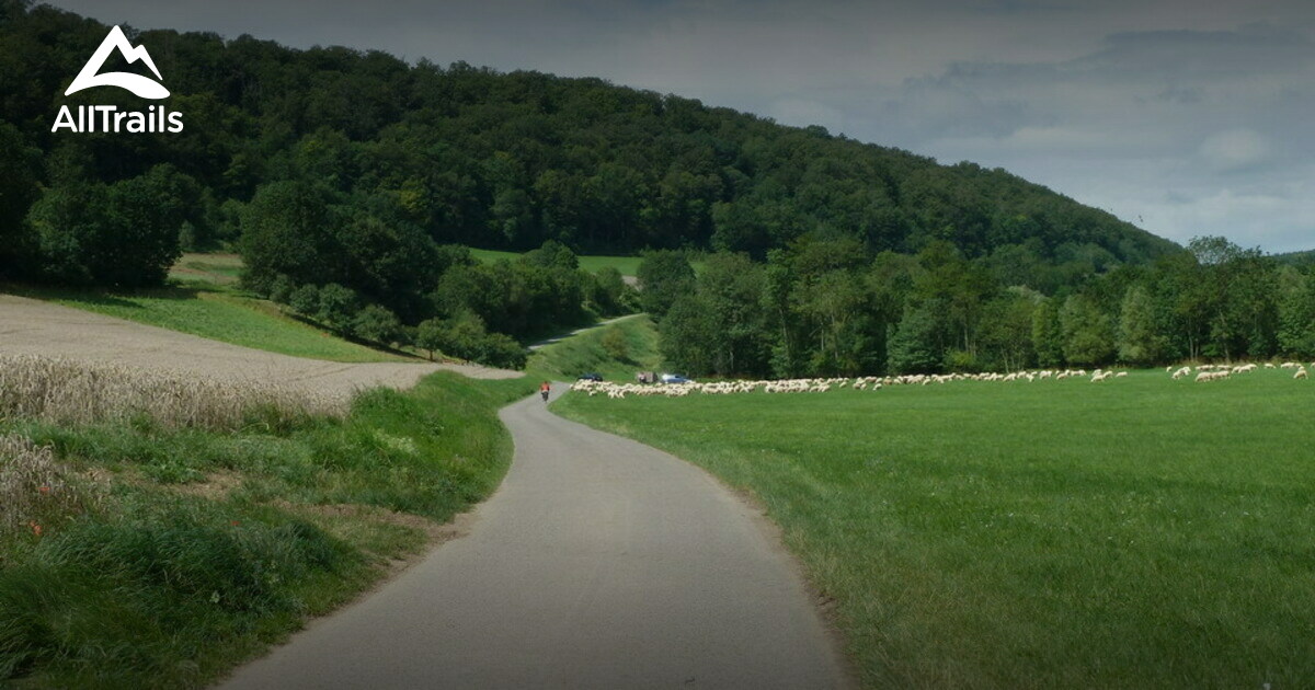 De beste hundevennlige stiene i Frankenhöhe Nature Park | AllTrails