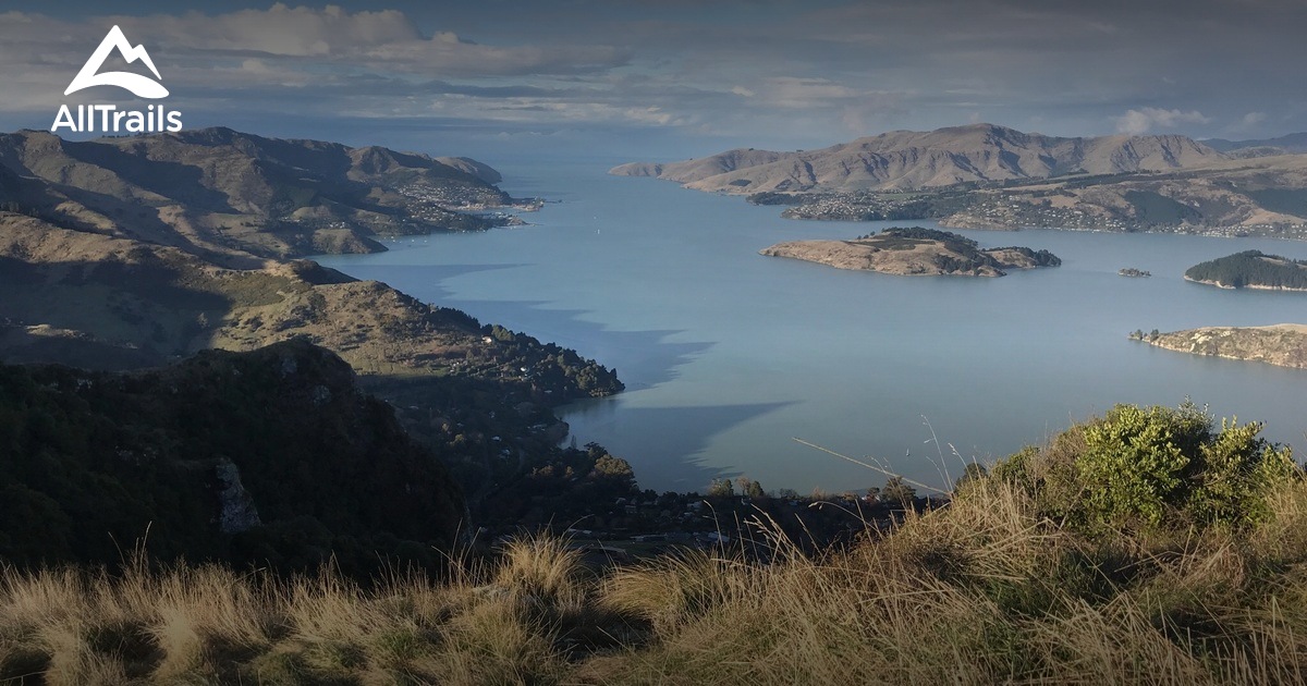 Best hikes and trails in Hoon Hay Reserve | AllTrails