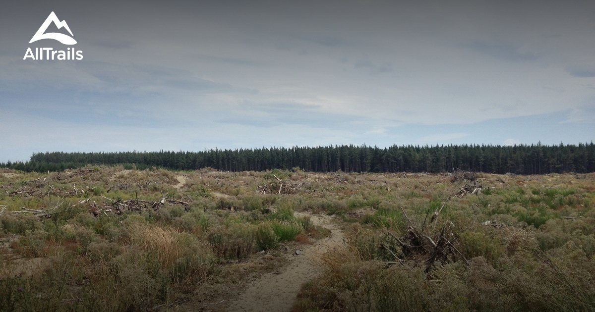 Best hikes and trails in Bottle Lake Forest Park | AllTrails