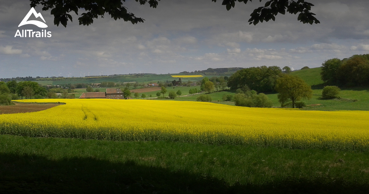 Best long trails in Vijlen Forest | AllTrails