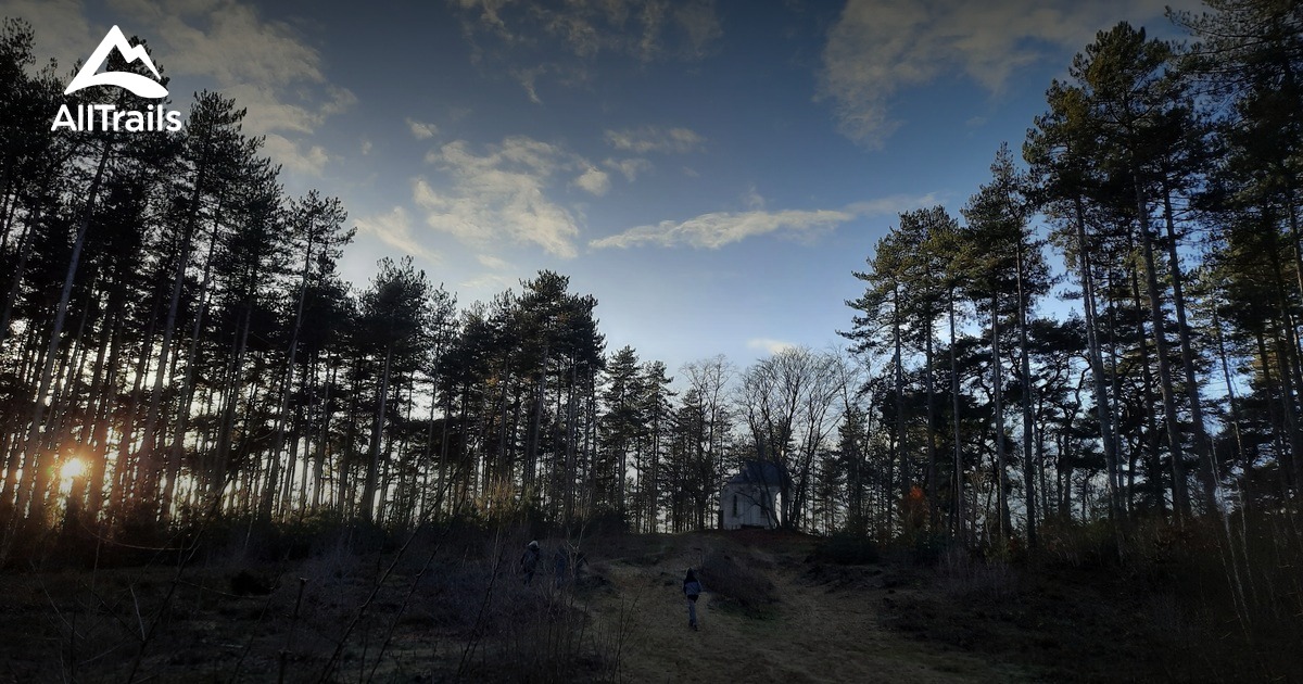Averbode Bos en Heide: de 10 beste routes om te wandelen | AllTrails